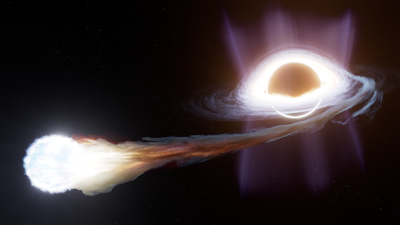 LCO Observations Challenge Our Understanding of How Black Holes Shred ...